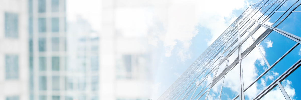 Company Overview Advasa